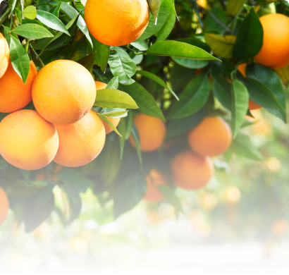 Huber Engineered Materials Global Locations