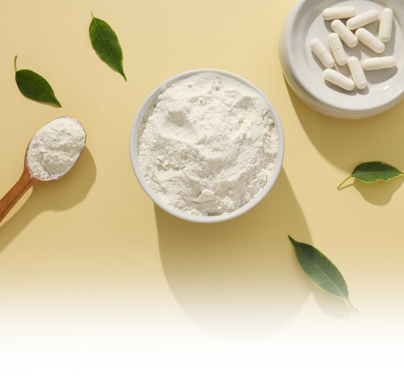 Huber Engineered Materials Global Locations